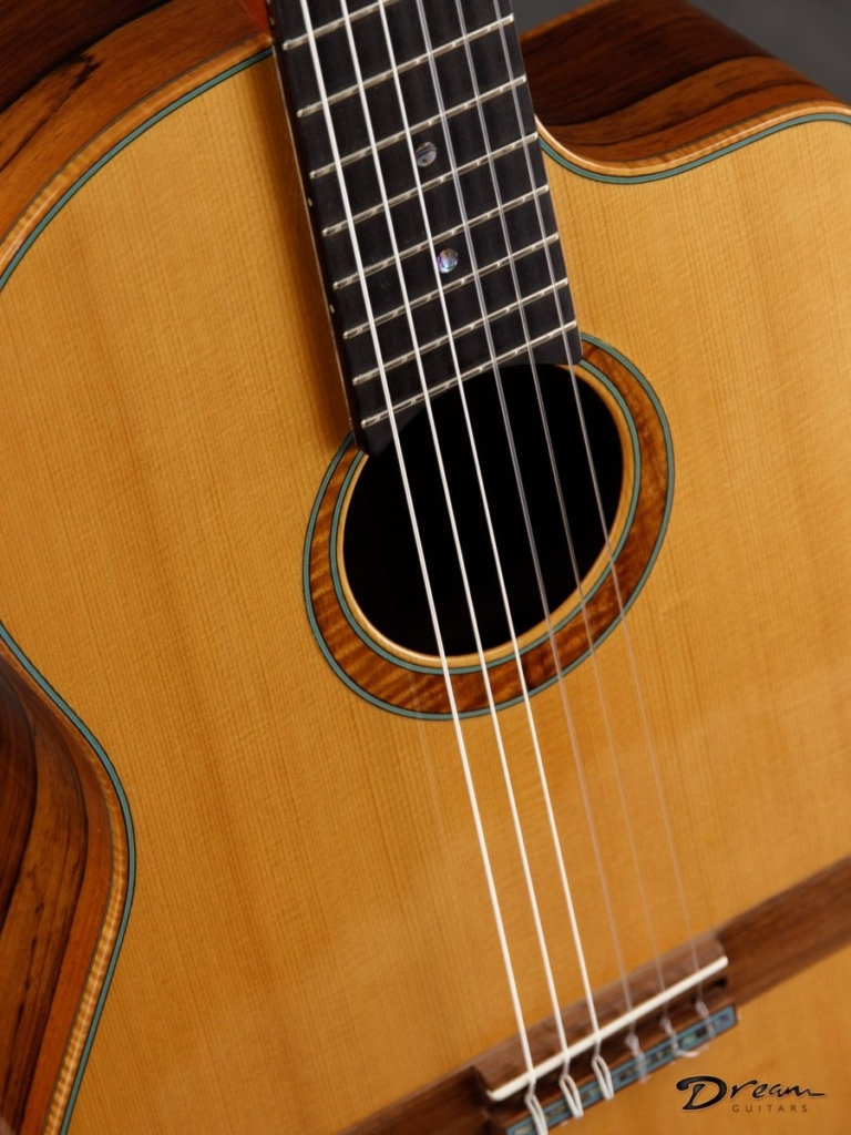 2002 Steve Grimes Nylon Cutaway, Brazilian Rosewood/Spruce - Dream Guitars