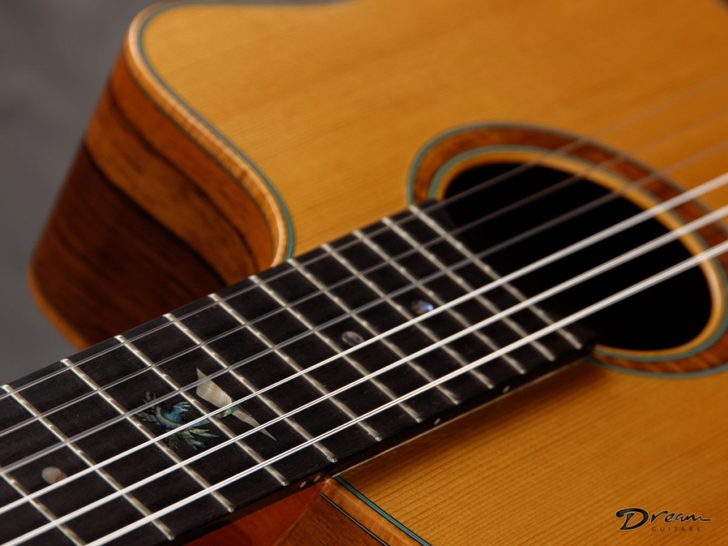 2002 Steve Grimes Nylon Cutaway, Brazilian Rosewood/Spruce - Dream Guitars