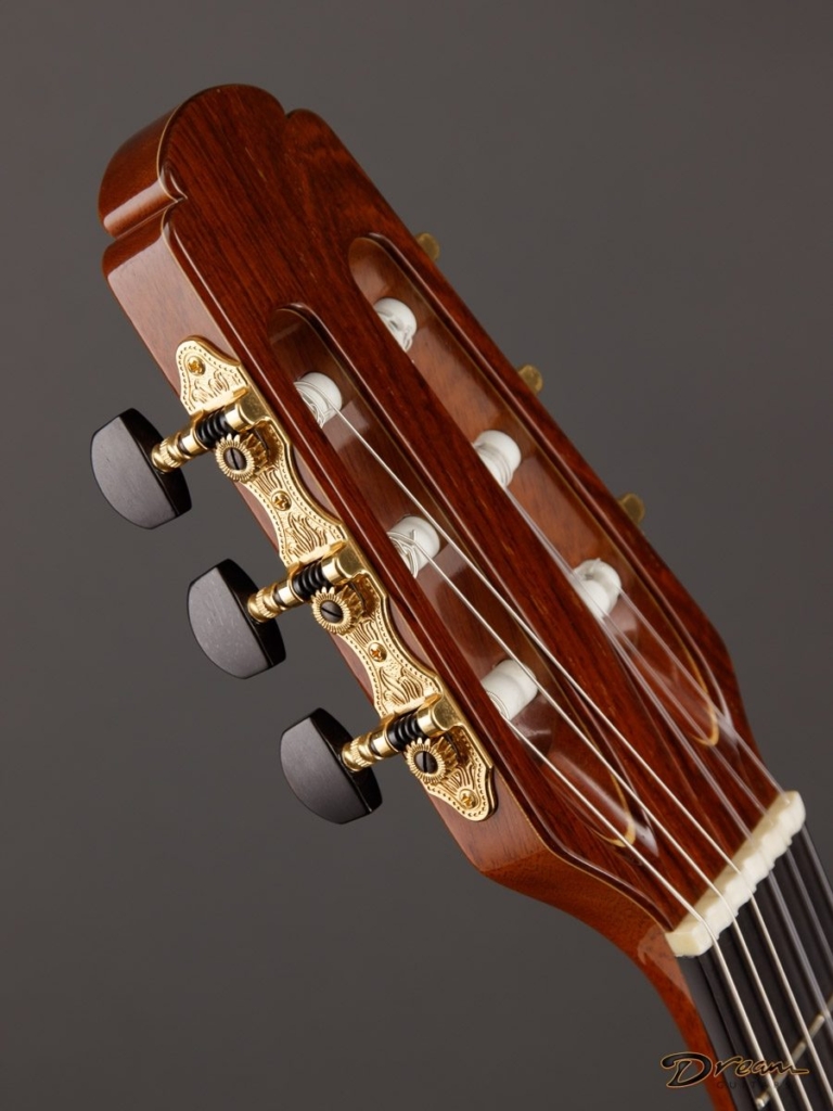 2002 Steve Grimes Nylon Cutaway, Brazilian Rosewood/Spruce - Dream Guitars