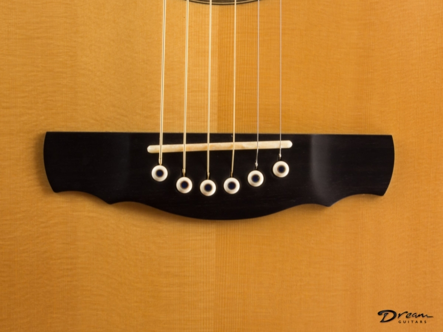 2004 Ryan Signature Series Nightingale, "El Milagro" Brazilian Rosewood ...