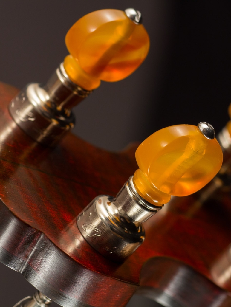 New R.M. Anderson Vega #1 Custom Banjo - Dream Guitars