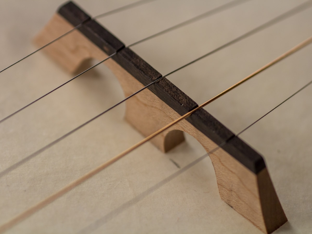 New R.M. Anderson Vega #1 Custom Banjo - Dream Guitars