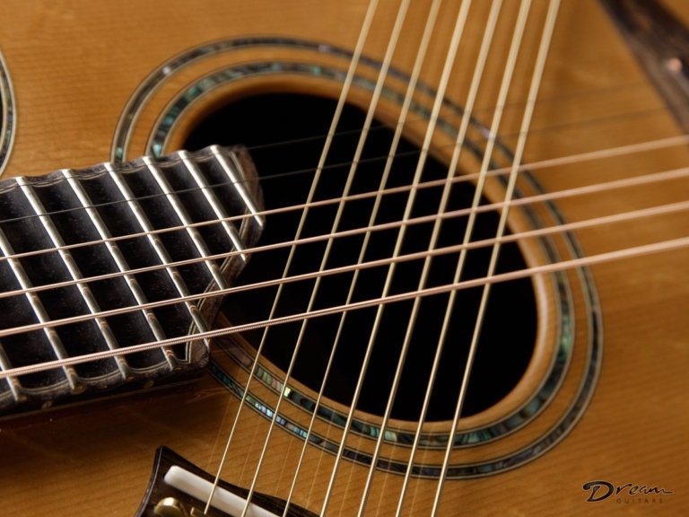 Brand New Borghino Shakti Deluxe, Ziricote/Alpine Spruce - Dream Guitars