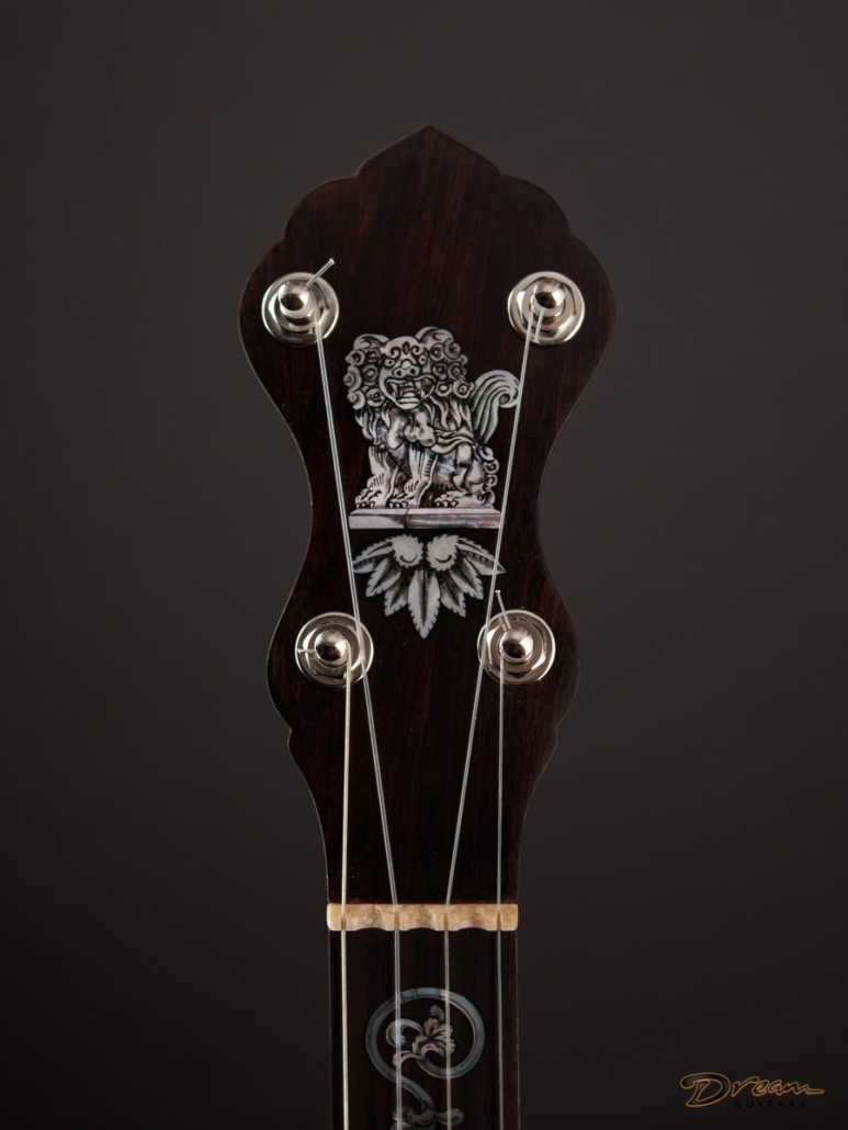 Brand New R.M. Anderson 12" Dobson-Style Fretless Banjo - Dream Guitars