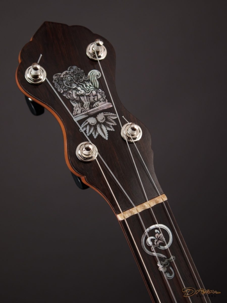 Brand New R.M. Anderson 12" Dobson-Style Fretless Banjo - Dream Guitars