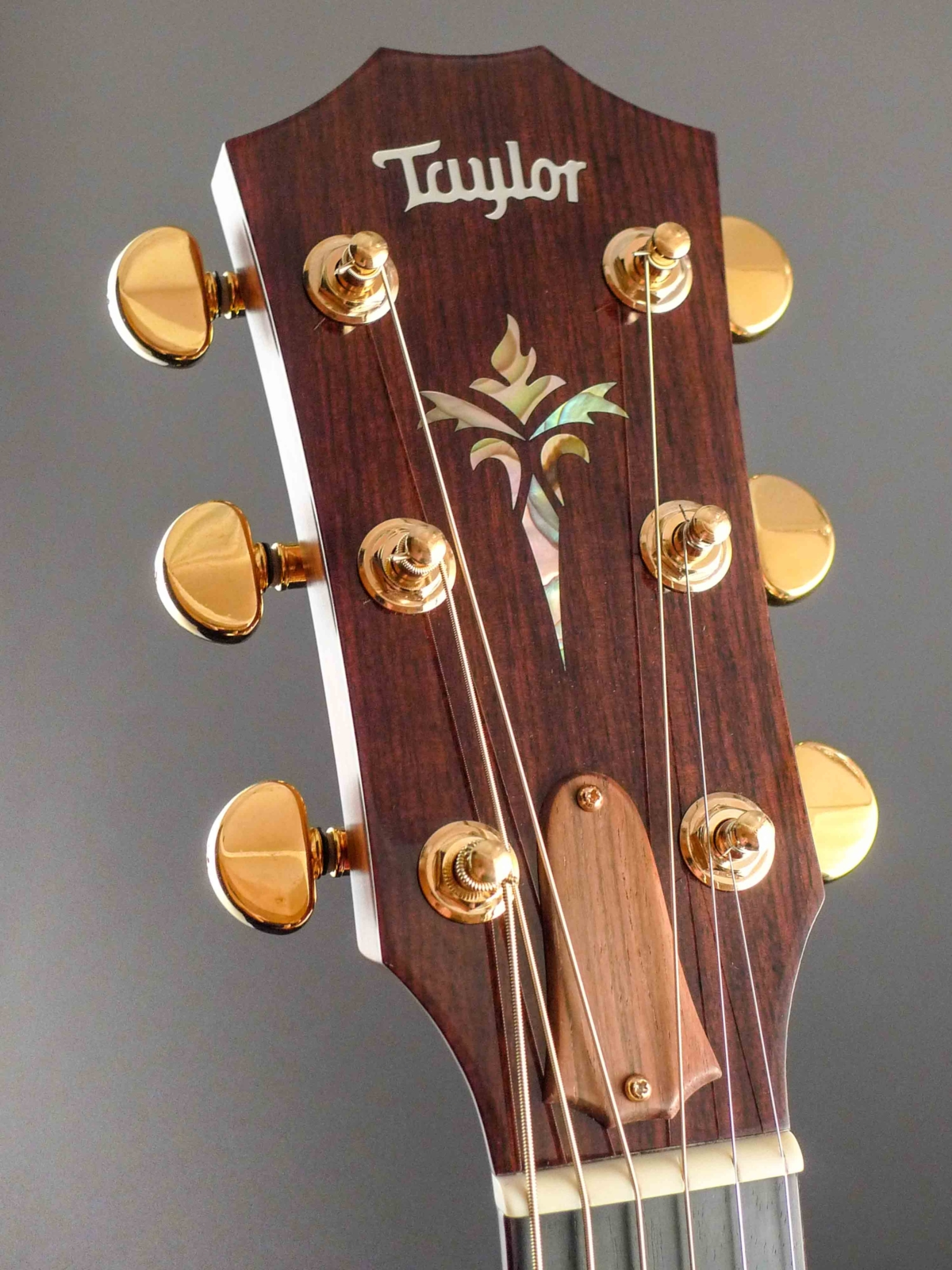 1995 Taylor Guitars GABE Brazilian/Engelmann - Dream Guitars