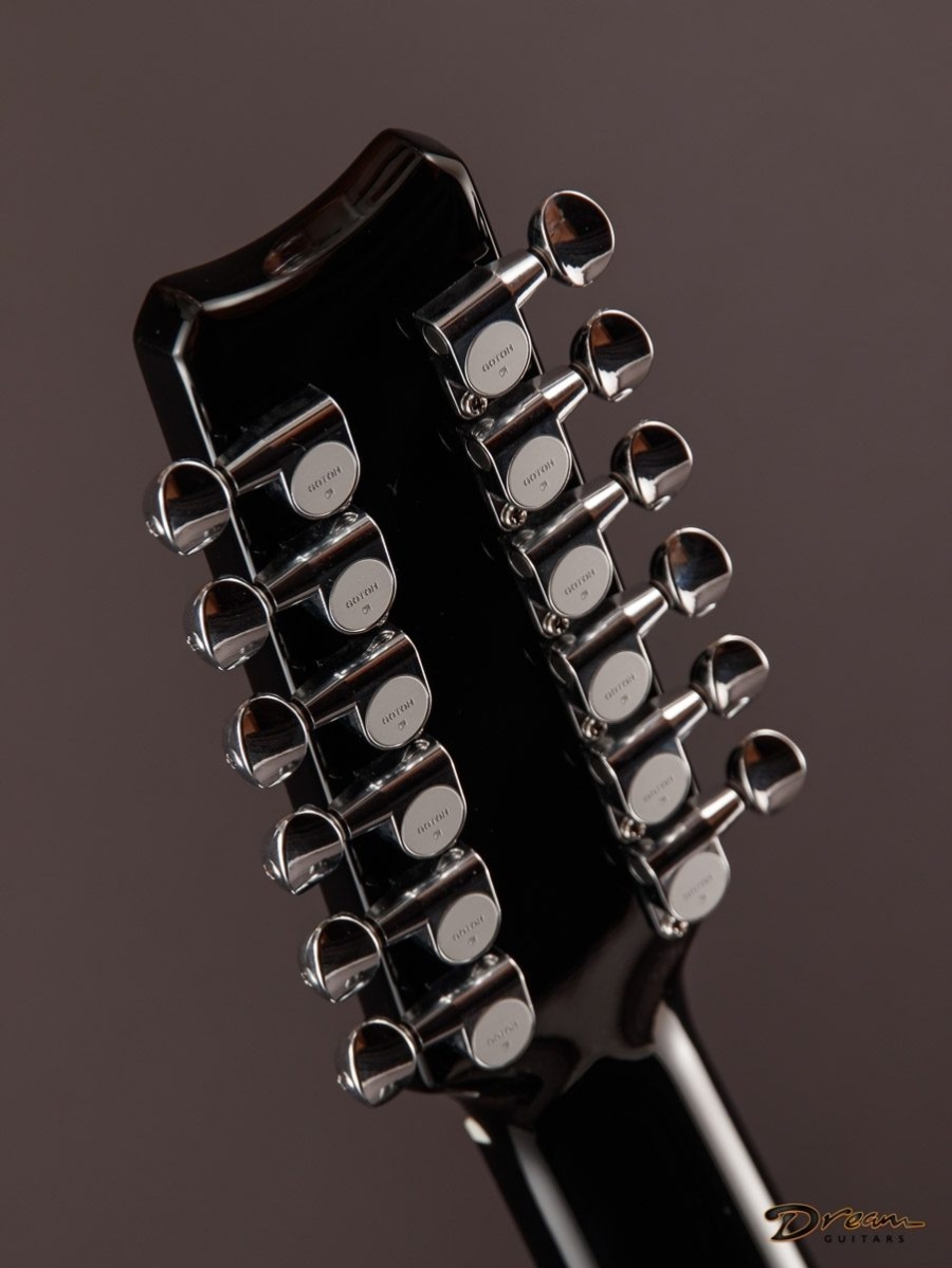 Brand New Rainsong V-WS3000X 12-String, Carbon Fiber/Hybrid Spruce ...