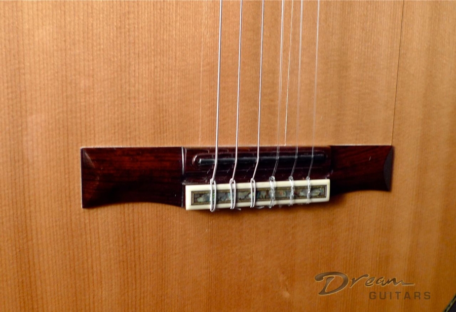 2006 Sand Nylon String Electric Cocobolo/Spruce With Barbera Soloist ...
