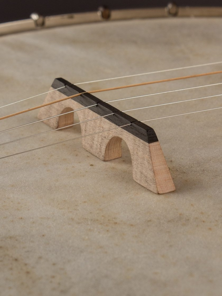 New R.M. Anderson Banjo, 1930s Vega Tubaphone - Dream Guitars