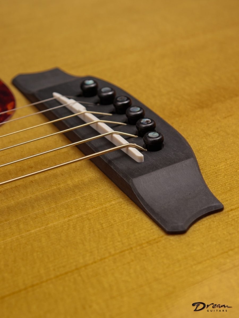 Brand New Rainsong V-DR1100N2, Carbon Fiber/Spruce - Dream Guitars