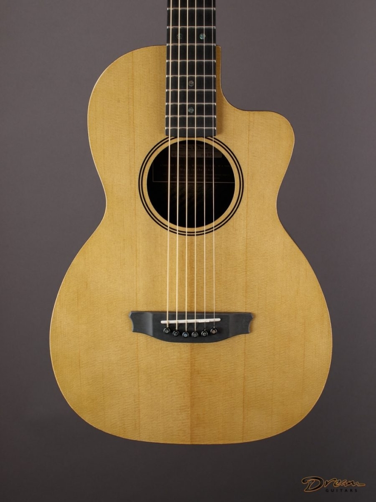 Brand New Rainsong V-PA1100NS, Carbon Fiber/Spruce - Dream Guitars