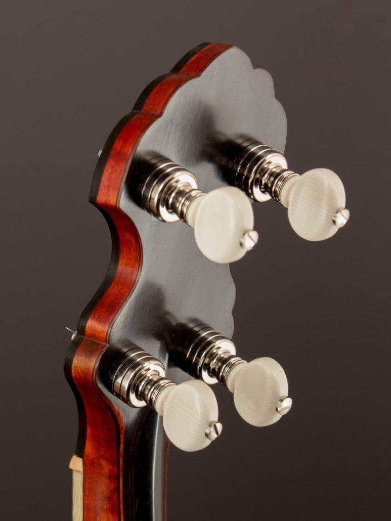 Brand New RM Anderson #3 Plus Banjo - Dream Guitars