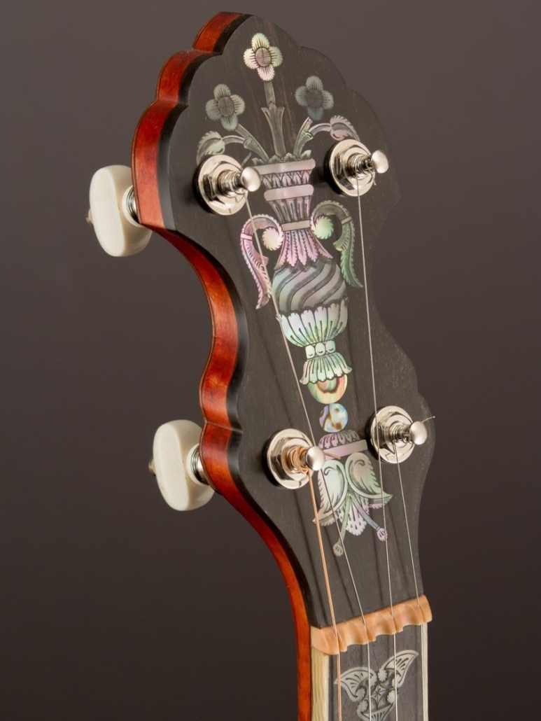 Brand New RM Anderson #3 Plus Banjo - Dream Guitars