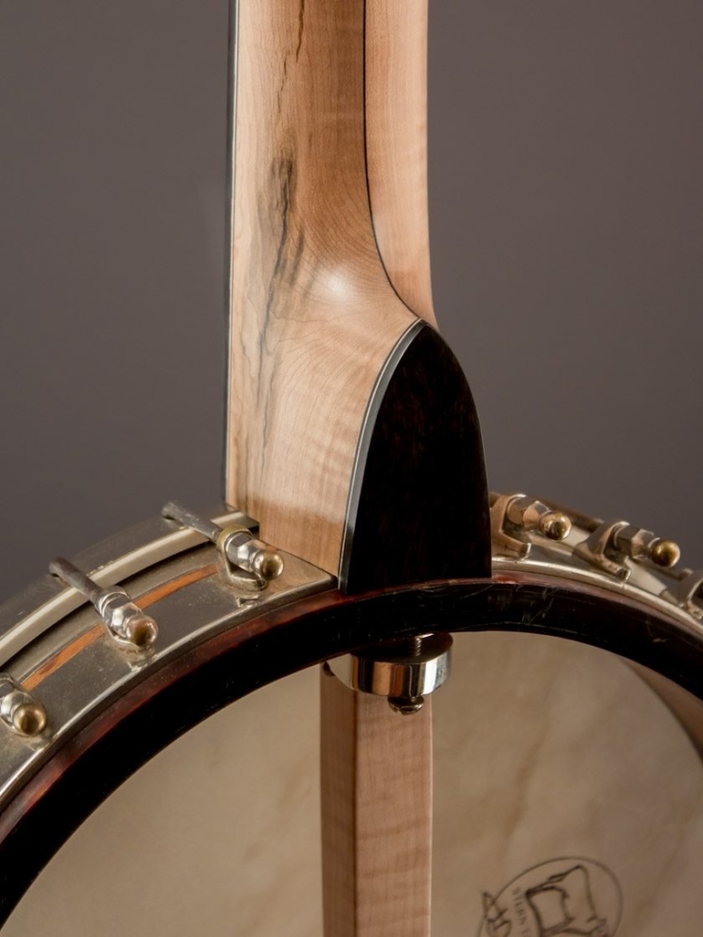 Brand New RM Anderson Solar System Banjo - Dream Guitars