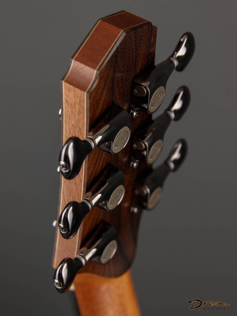 Brand New Michael Kennedy GC Multiscale, Ziricote/Sinker Cedar - Dream ...