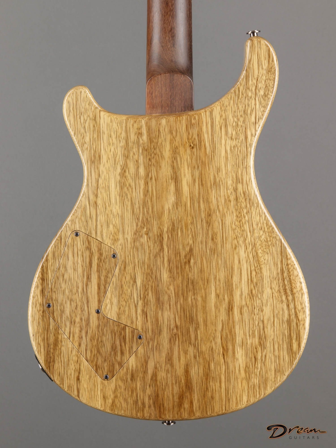 2020 PRS Private Stock Modern Eagle V "Zombie Sky," Black Limba/Quilted Maple - Dream Guitars