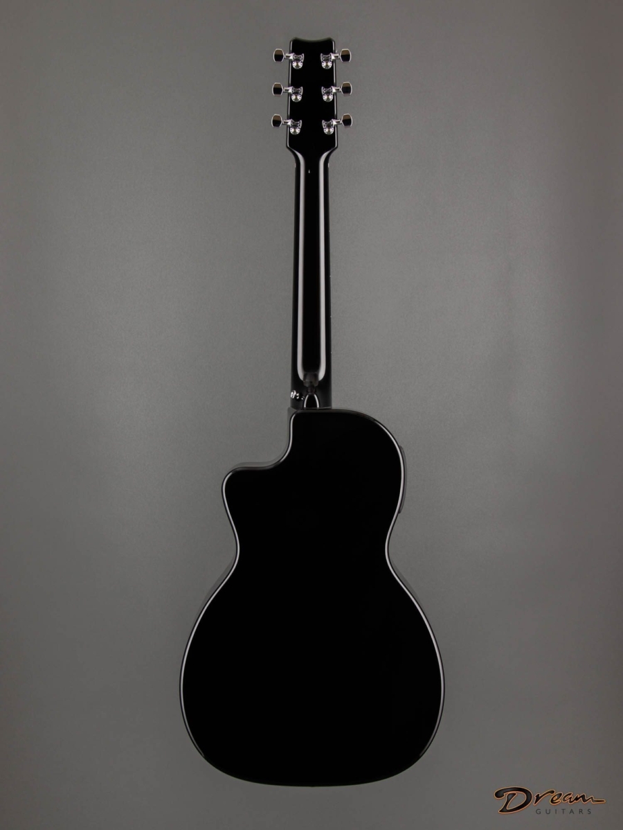 Brand New Rainsong V-PA9000NSC PA Nylon String Cedar Custom, Carbon ...