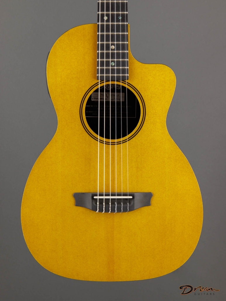 Brand New Rainsong V-PA9000NSC PA Nylon String Cedar Custom, Carbon ...