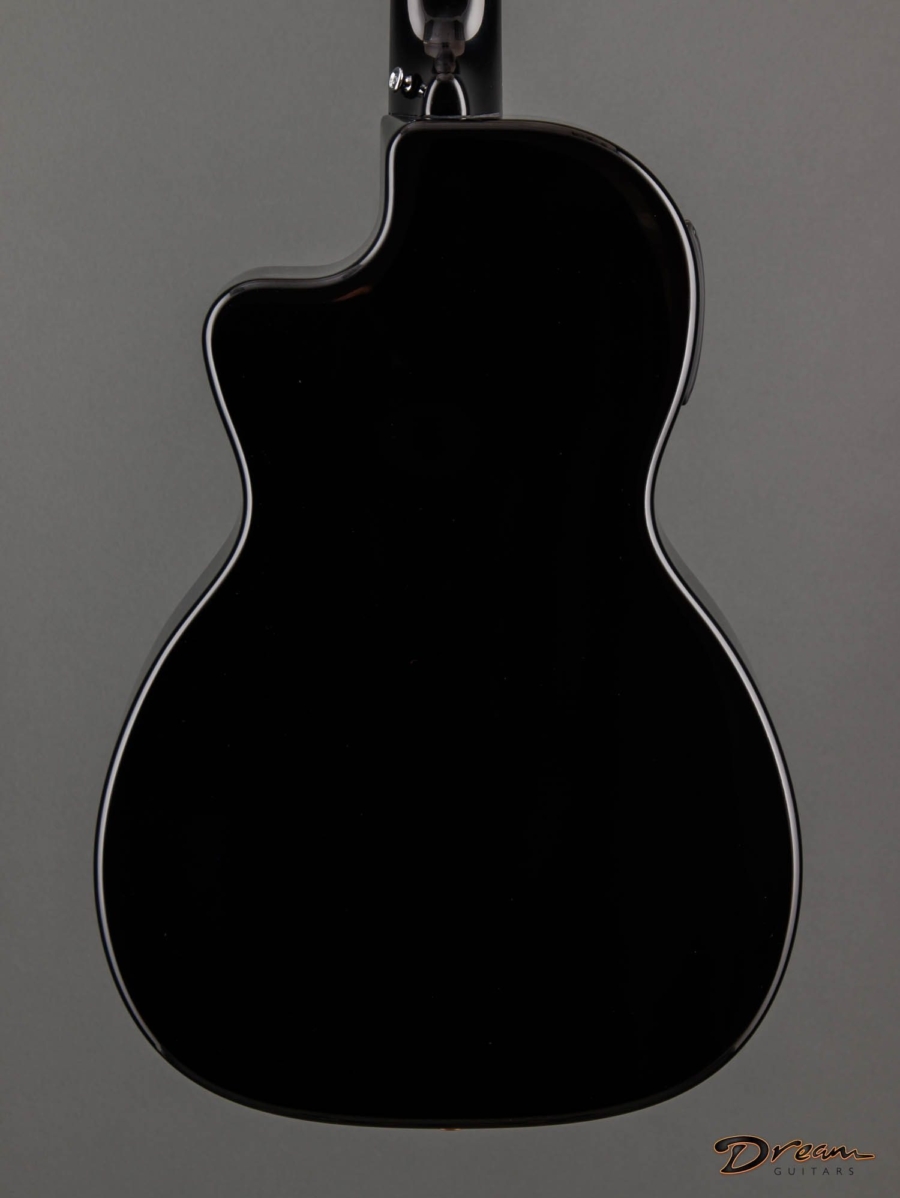 Brand New Rainsong V-PA9000NSC PA Nylon String Cedar Custom, Carbon ...