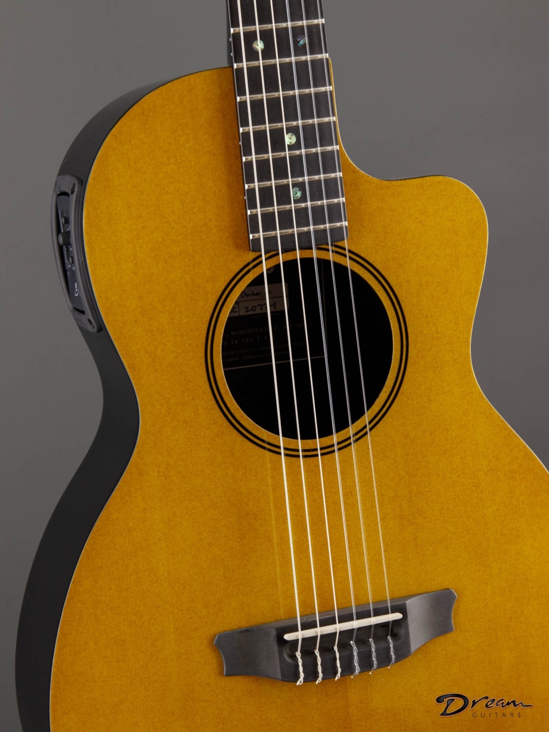 Brand New Rainsong V-PA9000NSC PA Nylon String Cedar Custom, Carbon ...