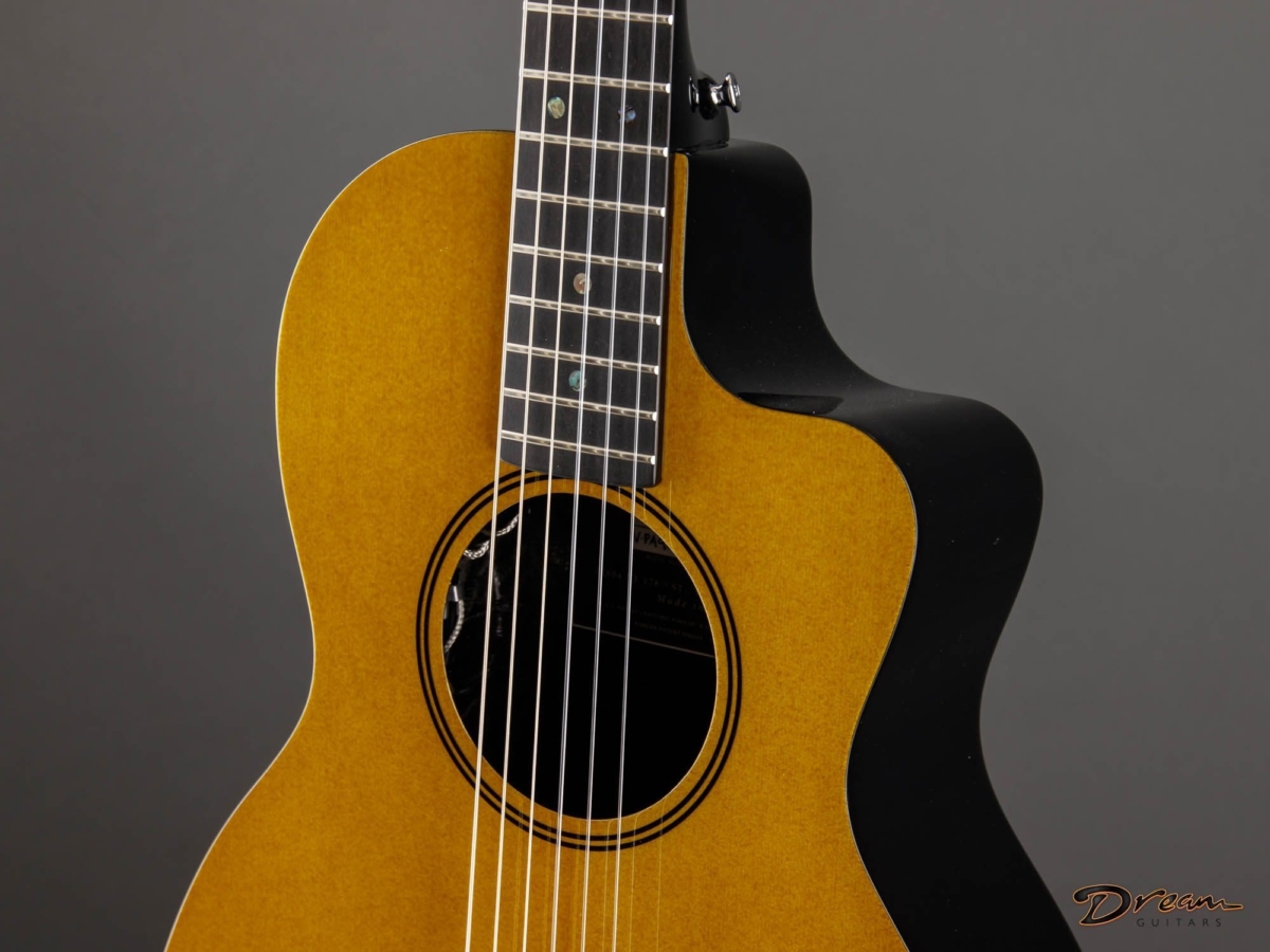 Brand New Rainsong V-PA9000NSC PA Nylon String Cedar Custom, Carbon ...