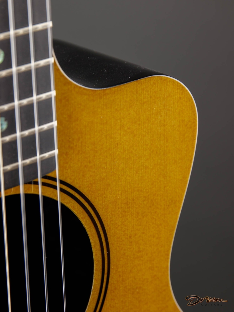 Brand New Rainsong V-PA9000NSC PA Nylon String Cedar Custom, Carbon ...