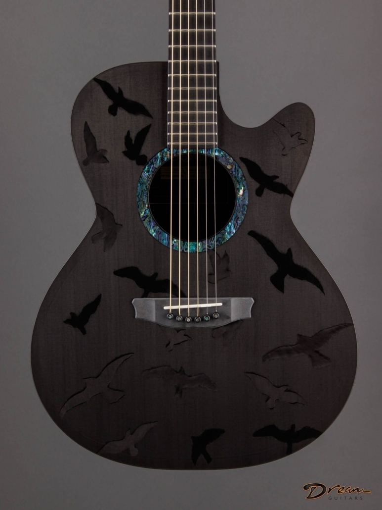Brand New Rainsong CO-WS1000N2KC WS Concert "Birds" Limited Edition ...