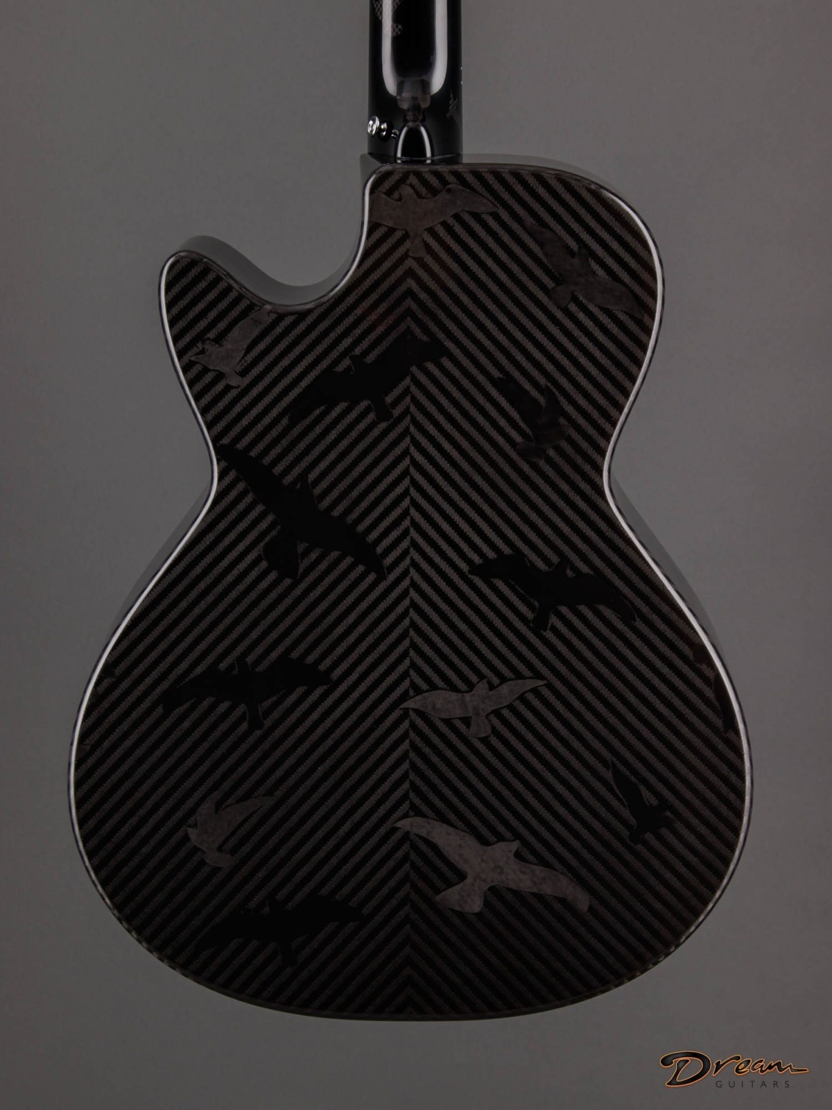 Brand New Rainsong CO-WS1000N2KC WS Concert "Birds" Limited Edition ...