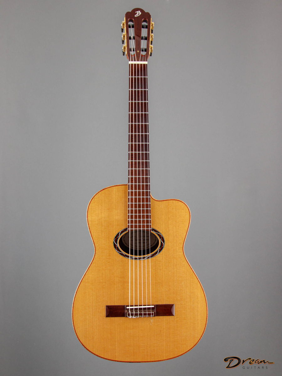 Nylon String Guitars Archives - Dream Guitars