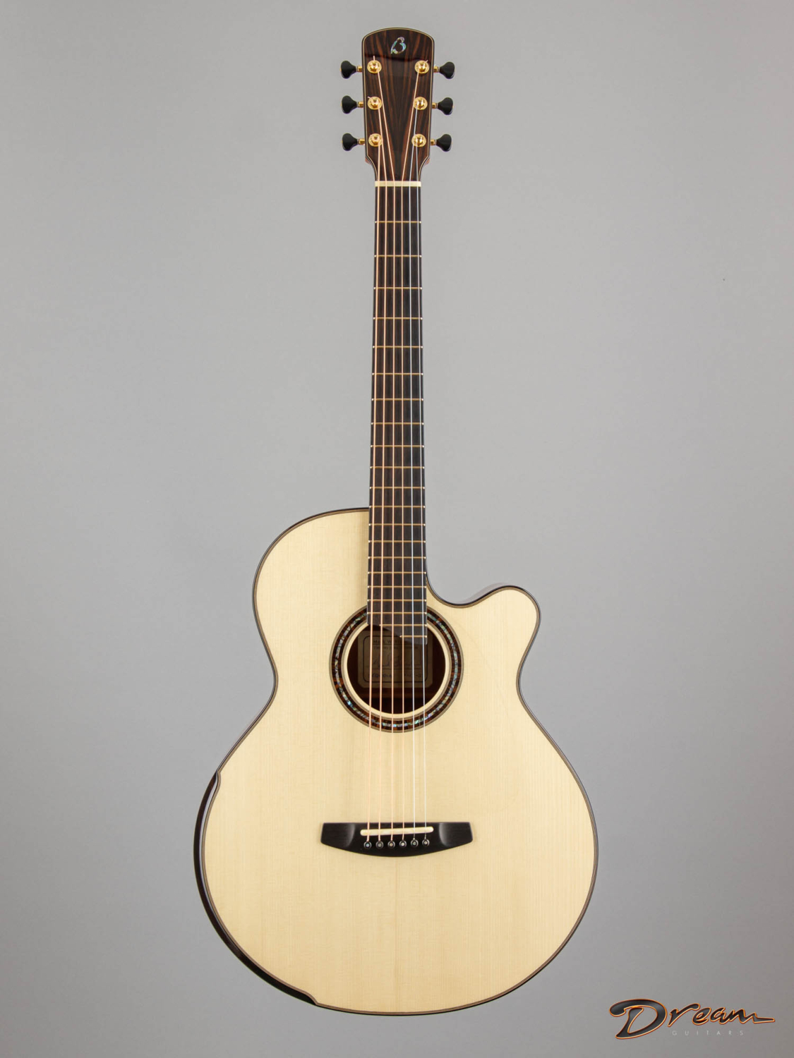 12 Fret Steel Guitars | Dream Guitars