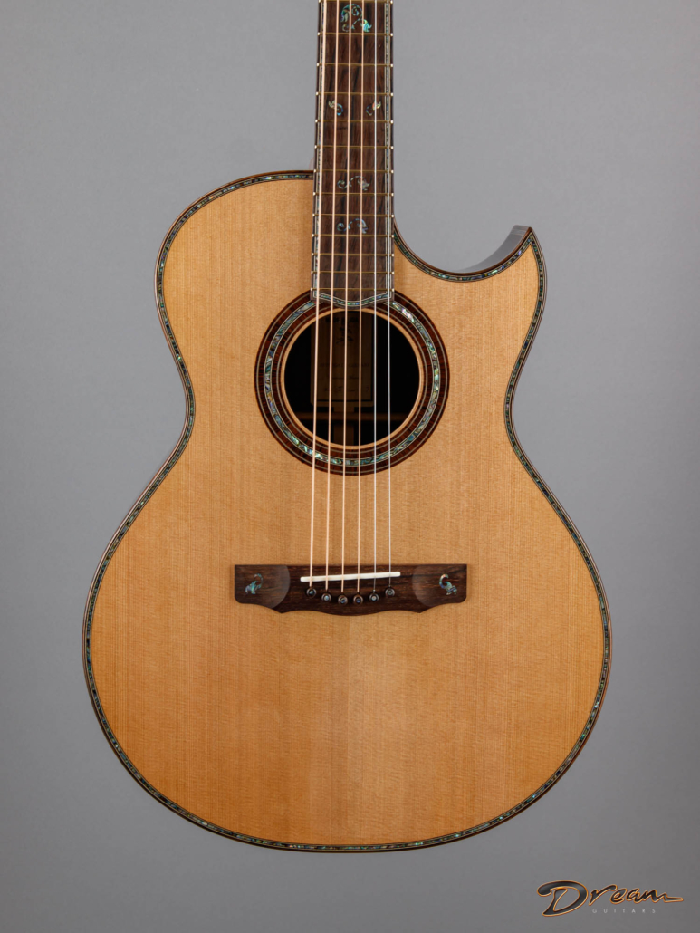 Brand New Applegate SJ, Brazilian Rosewood/Cedar - Dream Guitars