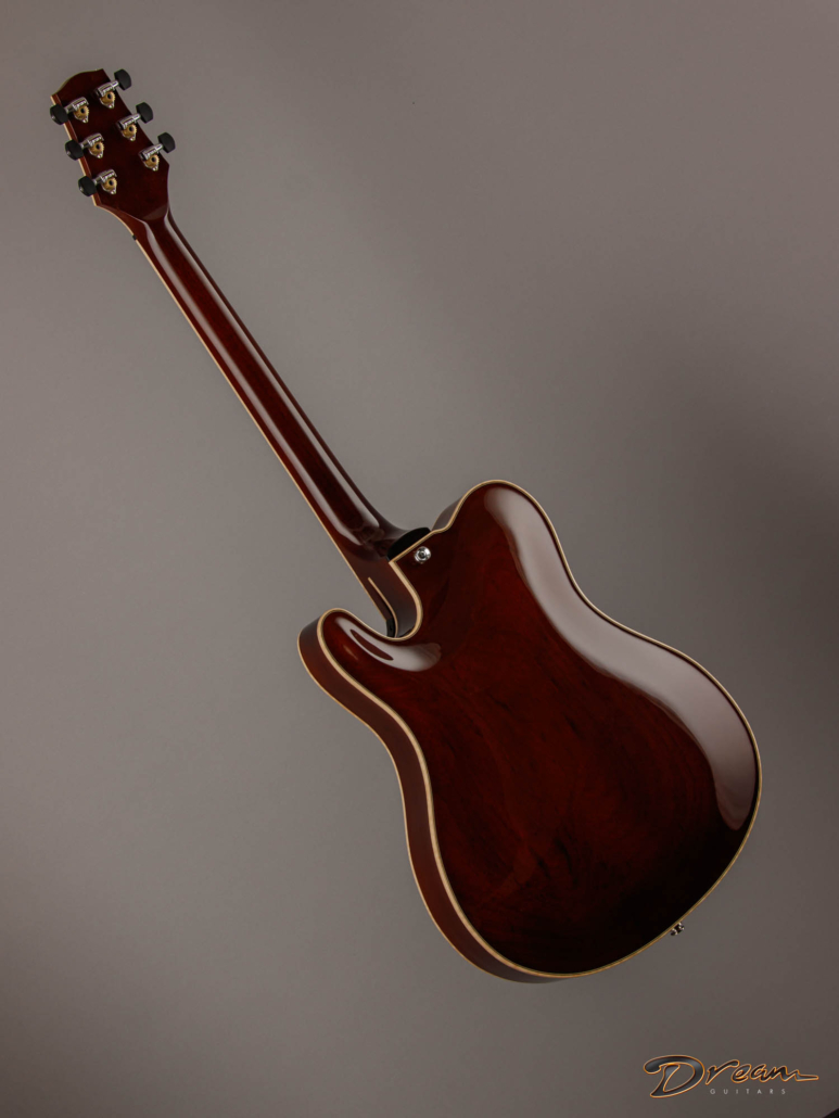 Brand New Tim Bram Archtop, The Tribute, Mahogany/Spruce - Dream Guitars