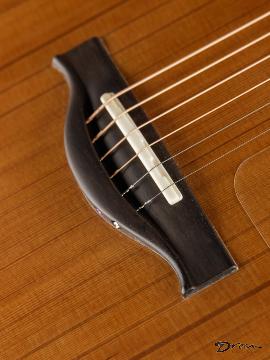 Brand New de Wit 15", Macassar Ebony/Sinker Red Cedar - Dream Guitars