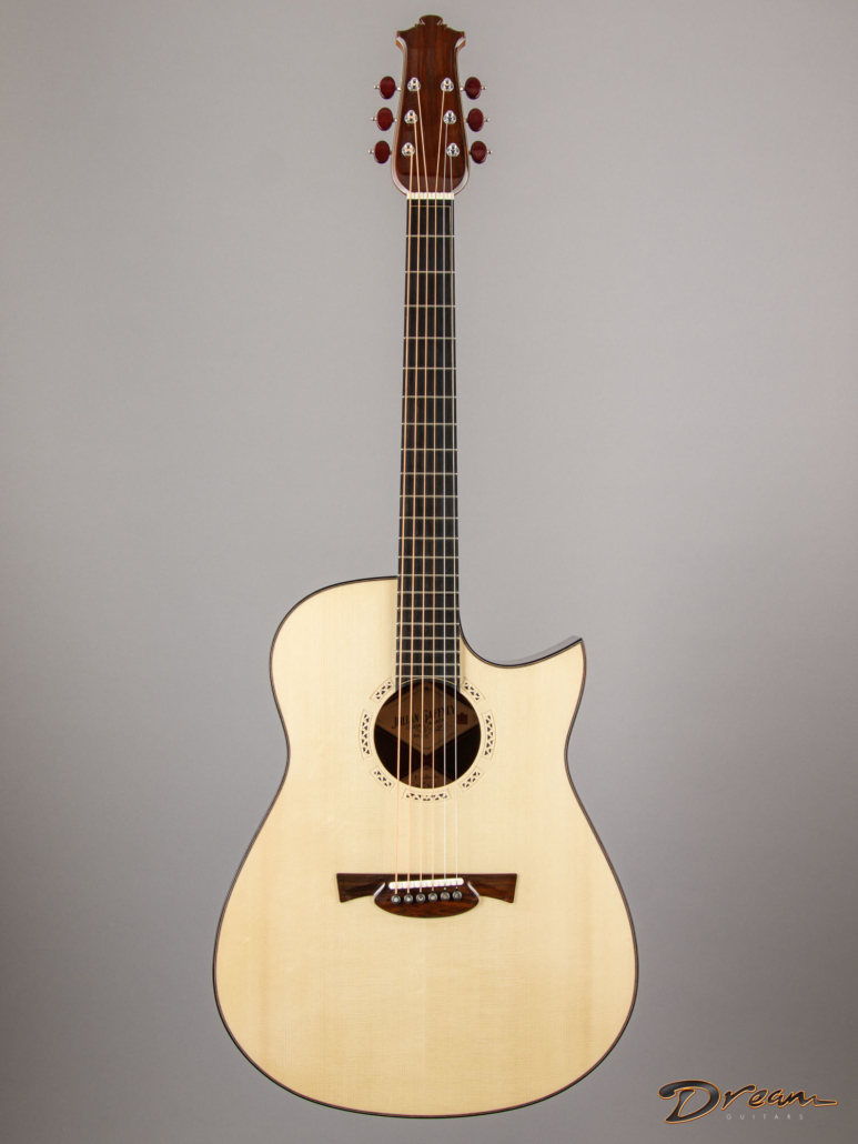 Brand New Gaffney Modified Dreadnought, Brazilian Rosewood/Swiss Spruce ...