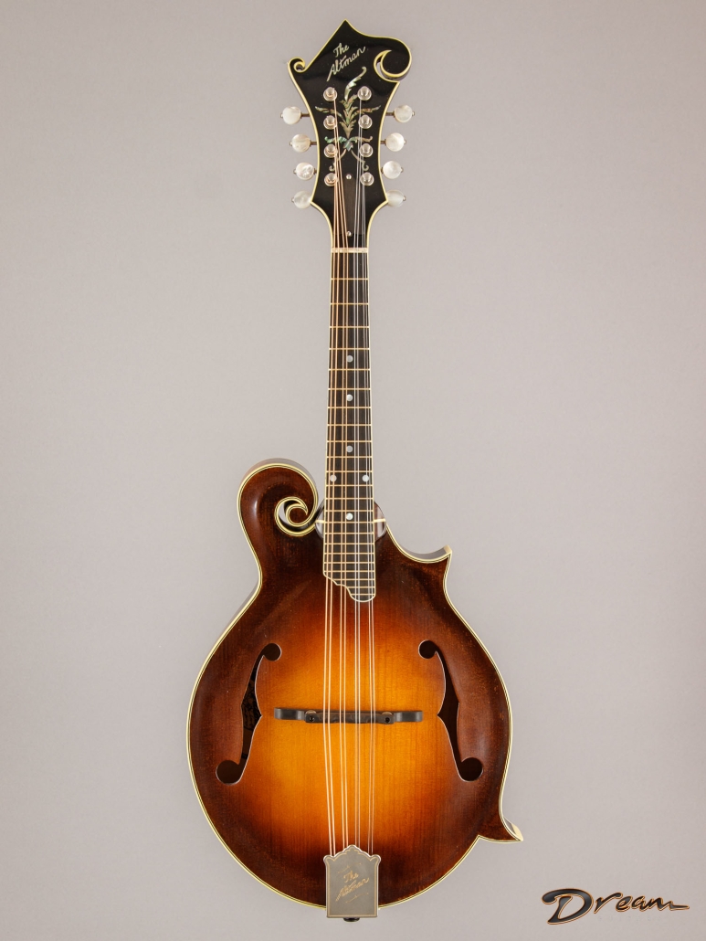 Musical String Instruments | Dream Guitars